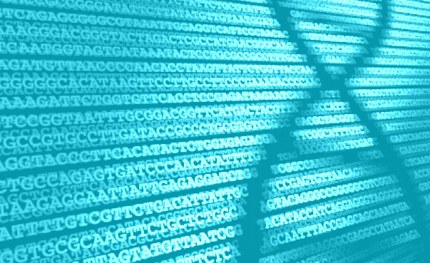 Next Level - TEMPTON Personaldienstleistungen GmbH